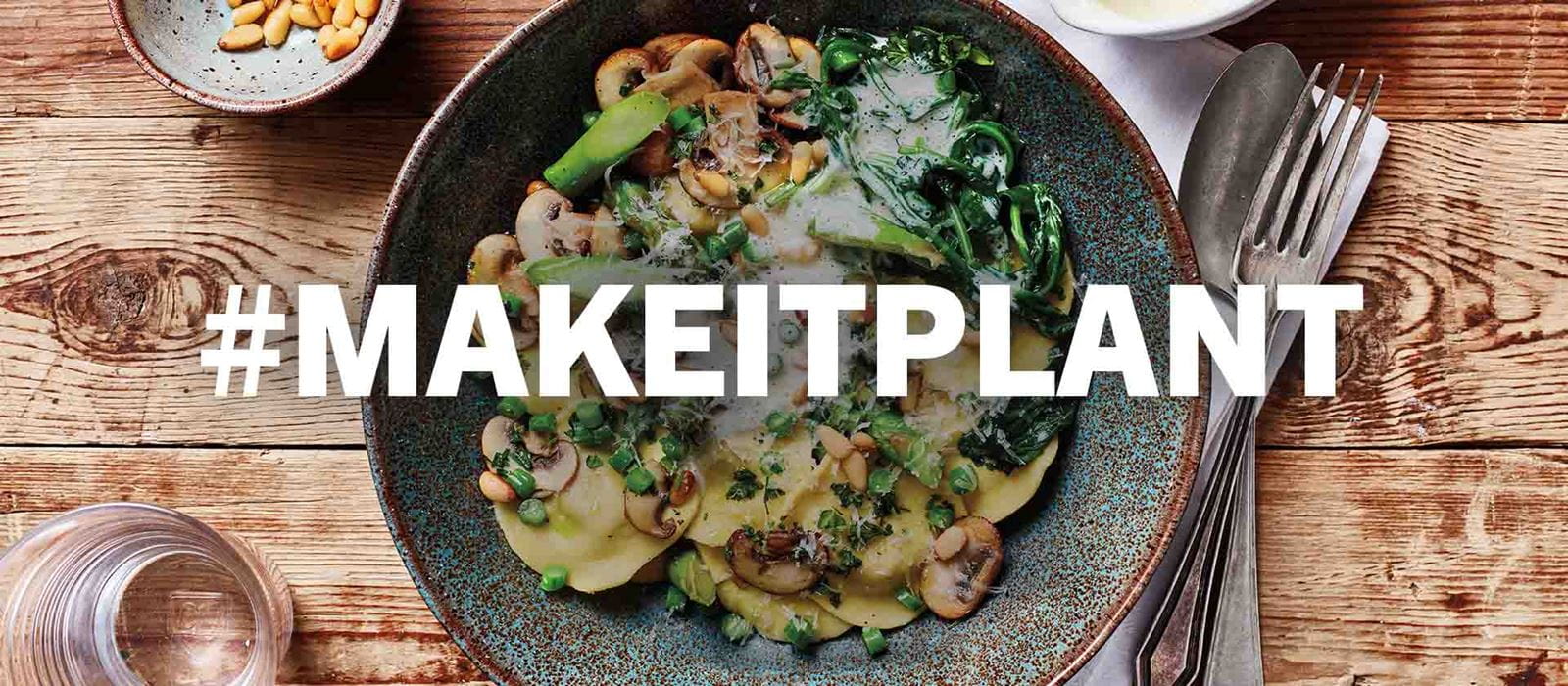 Flora Professional | Plant-based Performance