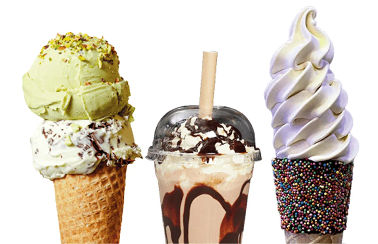 Flora Professional 100% Plant Based Ice Cream Mix